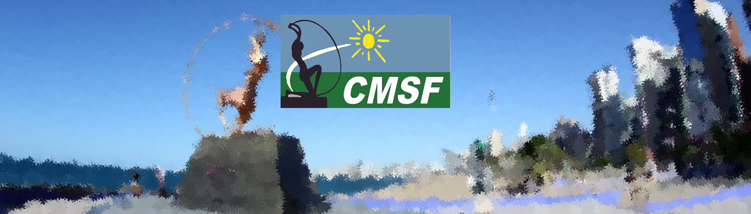 Conferências Temáticas de Saúde – Conselho Municipal de Saúde de ...